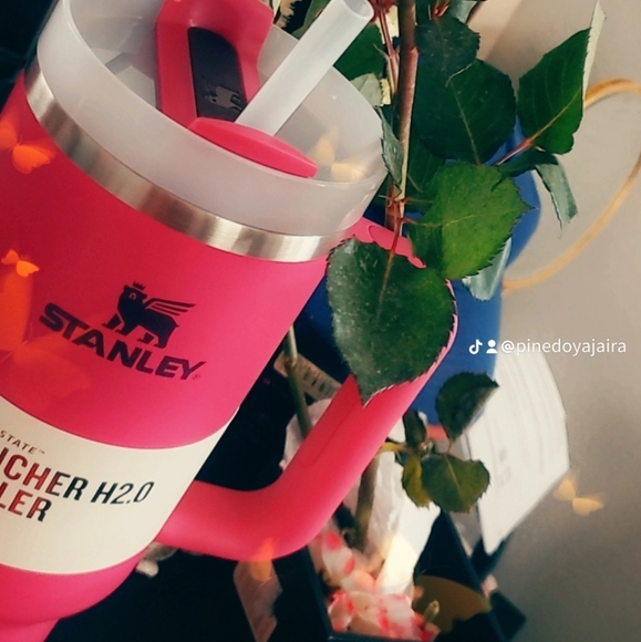 Stanley | Other | Stanley Cup Fuchsia | Poshmark